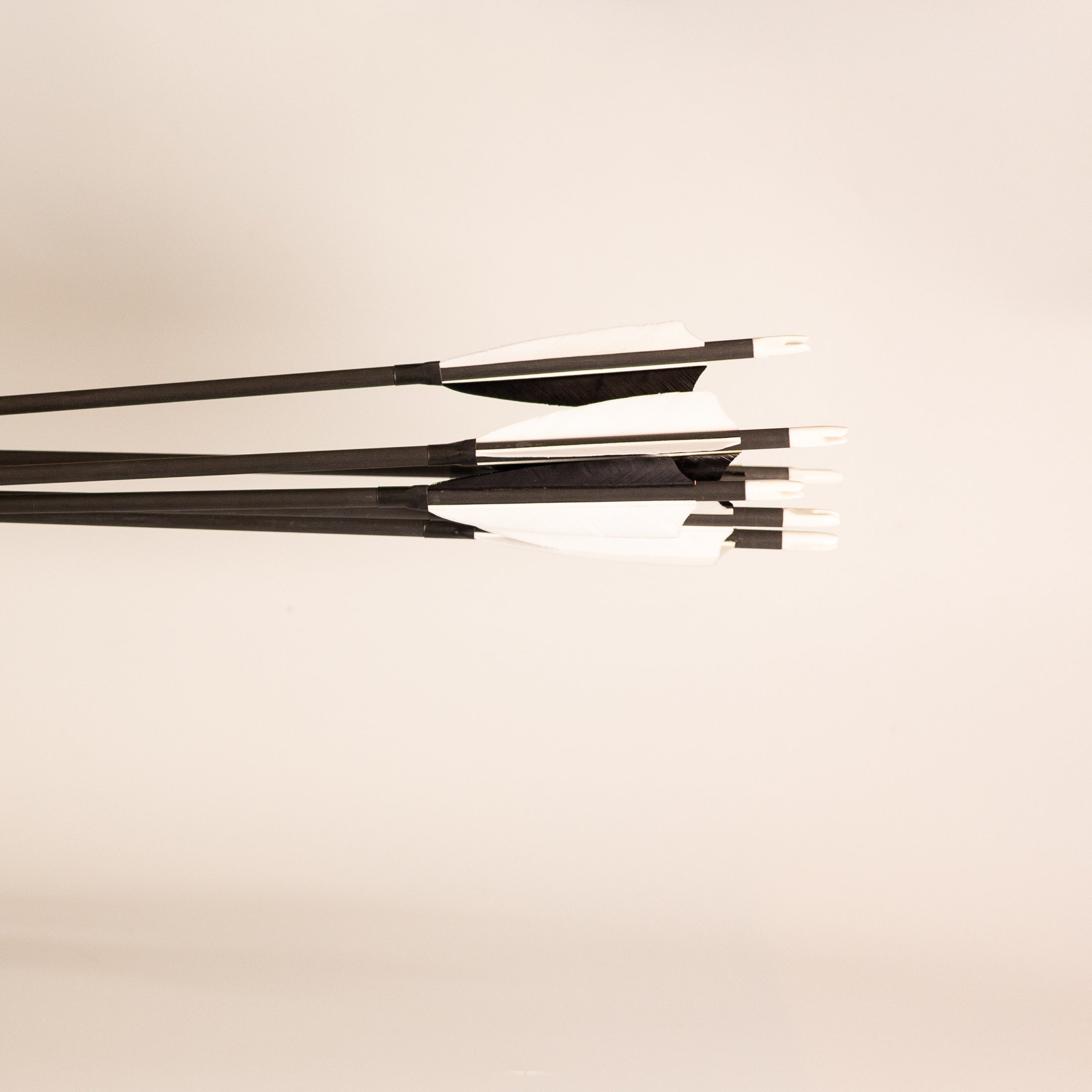 Traditional Carbon Arrows - 6 Pack – Shatterproof Archery